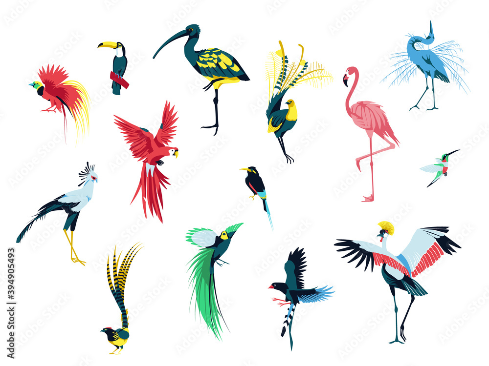 Beautiful exotic tropical birds set. Flamingo, Heron, Toucan ...
