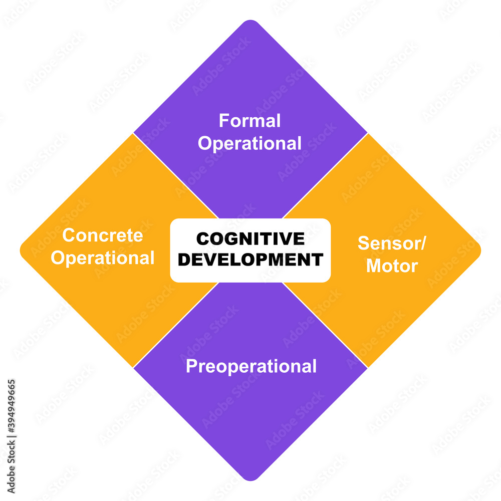 Diagram of Cognitive Development with keywords. EPS 10 - isolated on ...