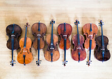 Cellos For Sale Free Stock Photo - Public Domain Pictures