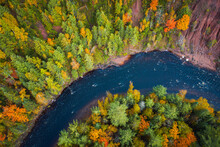 Autumn Trees On A Cliff Free Stock Photo - Public Domain Pictures