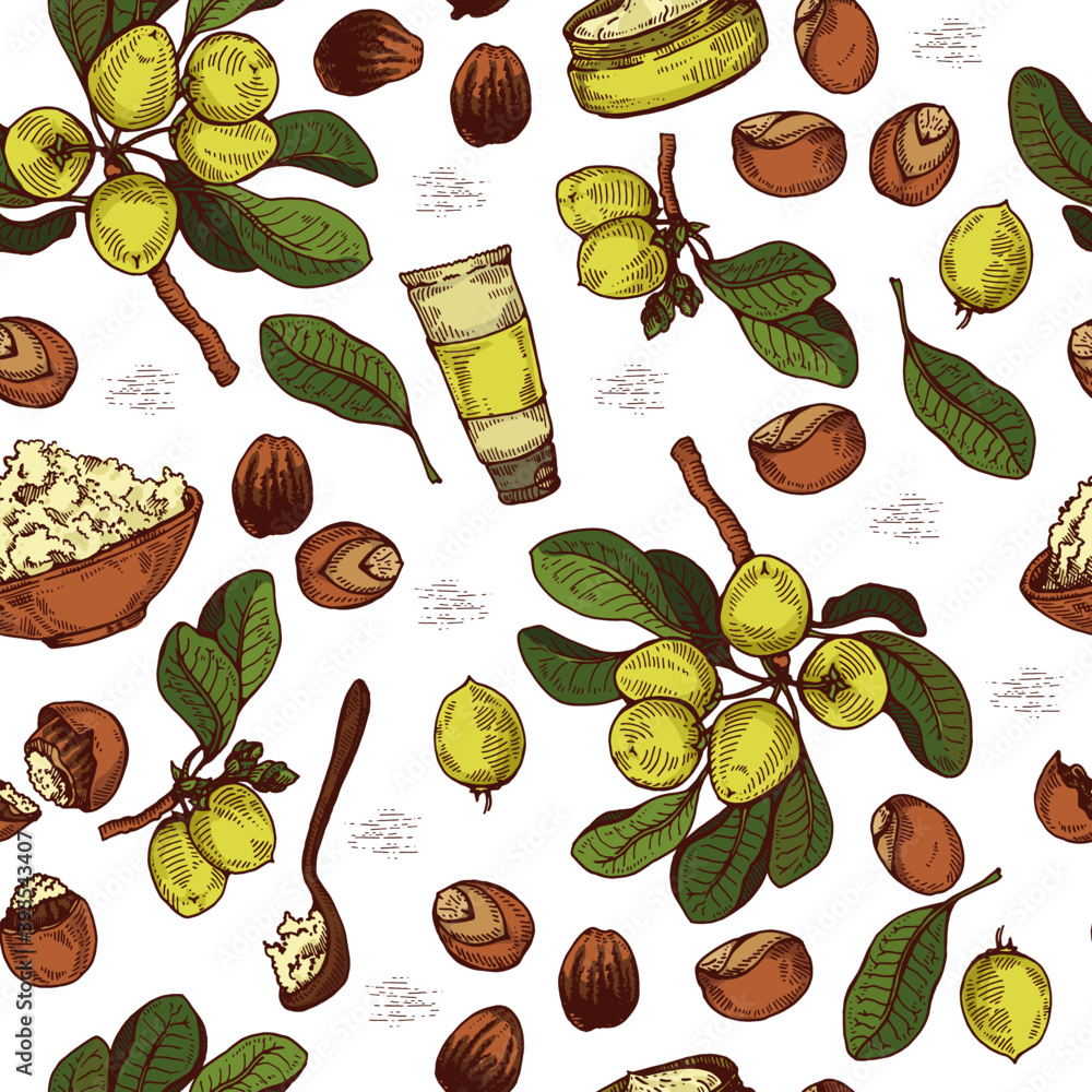 Seamless Pattern with branch Shea tree with fruits, nuts, leaves and ...