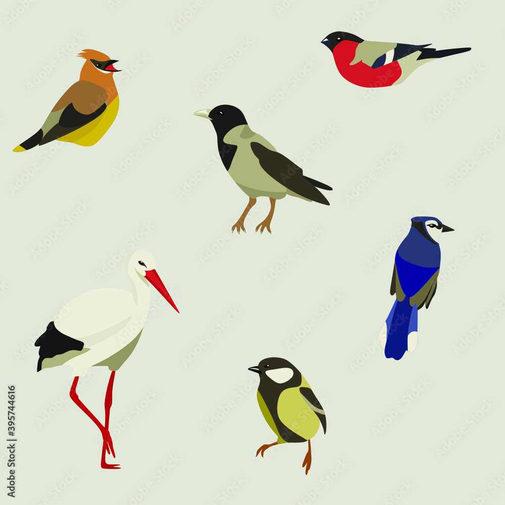 bird clip art set-hand drawn bird breeds-digital PNG vector-cute ...