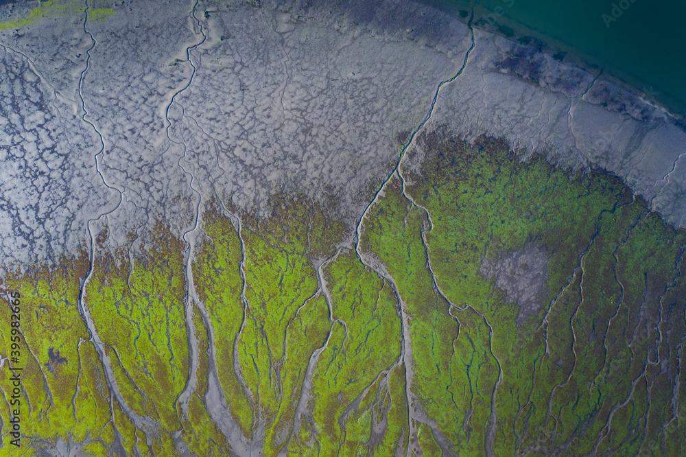 Tidal Marsh, Tidal Wetland (MARISMA), Low Tide, Marismas de Santoña ...