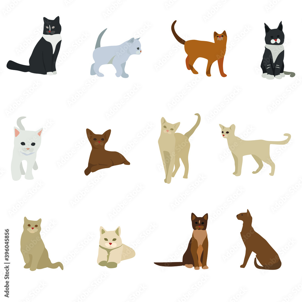 Cat clip art set-hand drawn cat breeds-digital SVG vector-cute animals ...