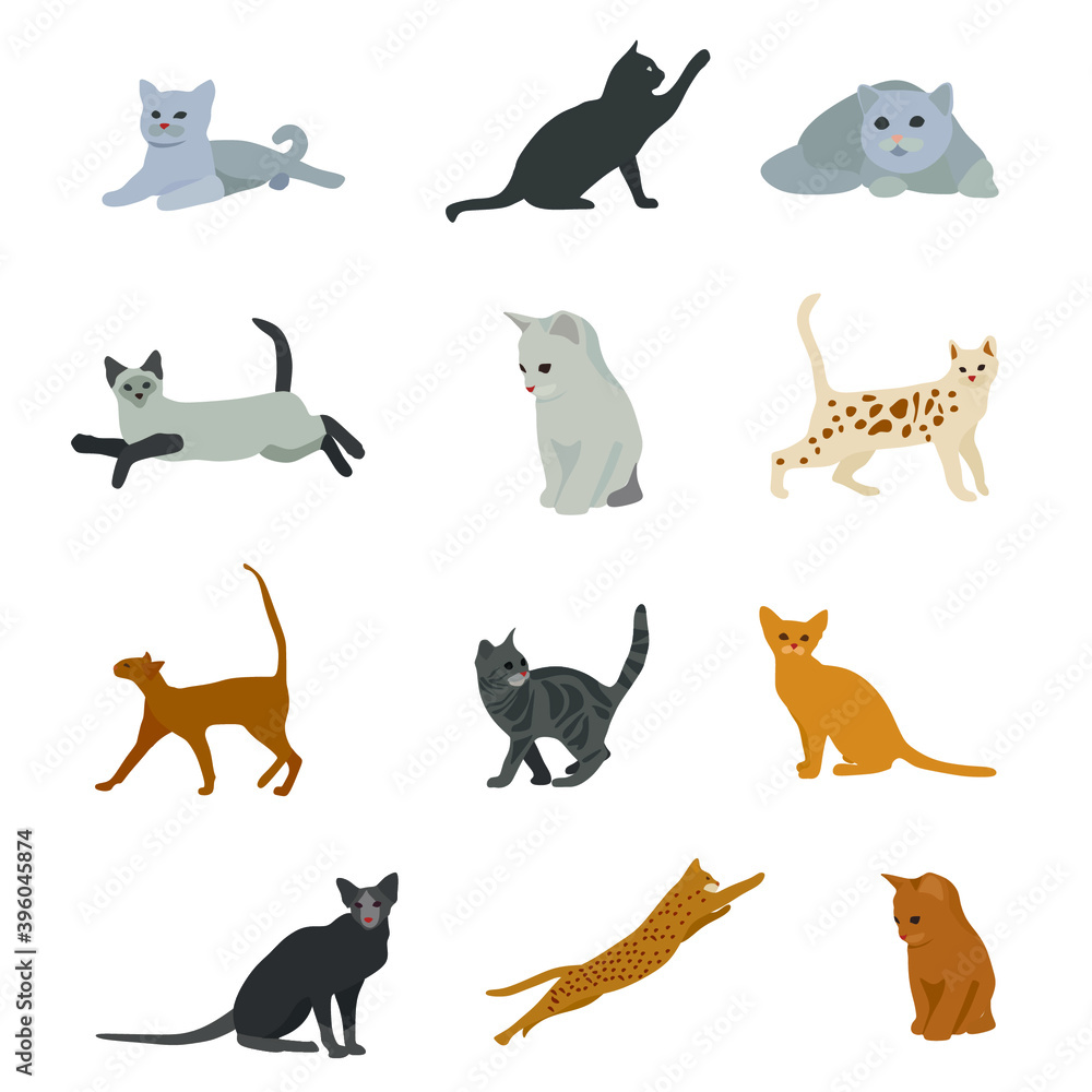 Cat clip art set-hand drawn cat breeds-digital SVG vector-cute animals ...