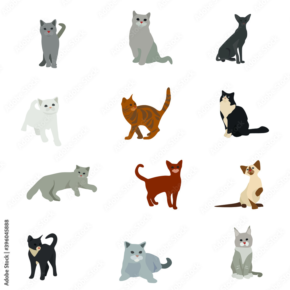 Cat clip art set-hand drawn cat breeds-digital SVG vector-cute animals ...