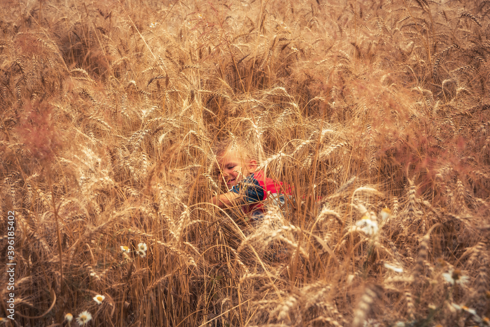 Child boy hiding in rural field among rye concept happy carefree ...