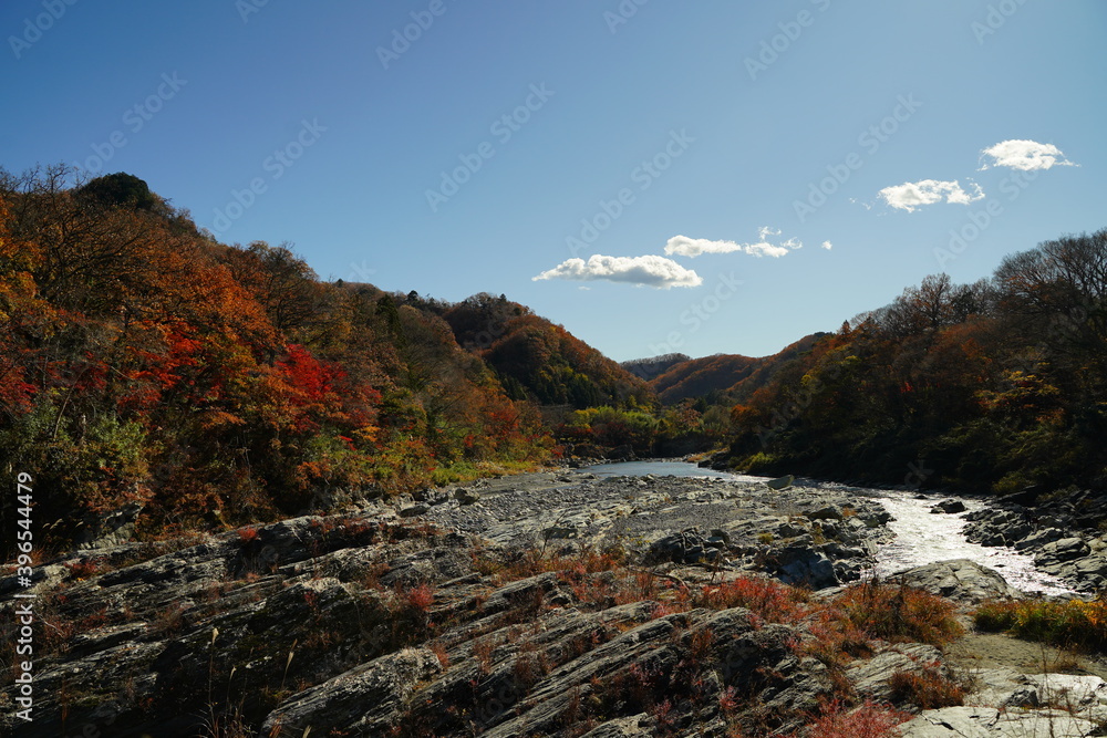 Nagatoro Cobblestone, ishidatami, and red autumn leaves are at Chichibu ...