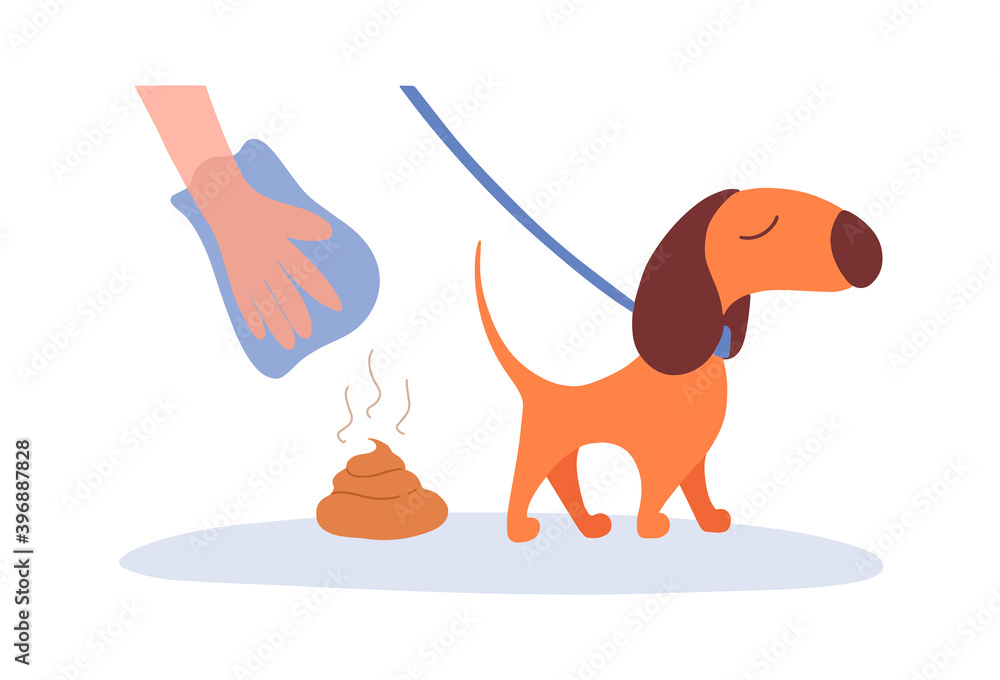 Cute cartoon sign or table, banner colorful vector illustration. Hand ...