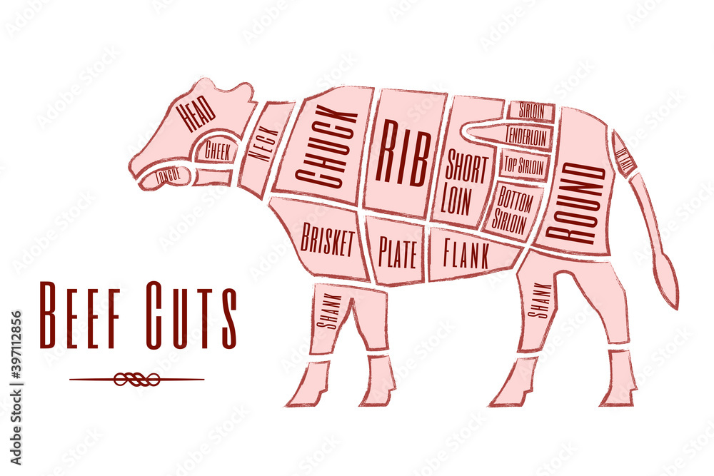 Understanding the different parts and cuts of beef Stock Illustration ...