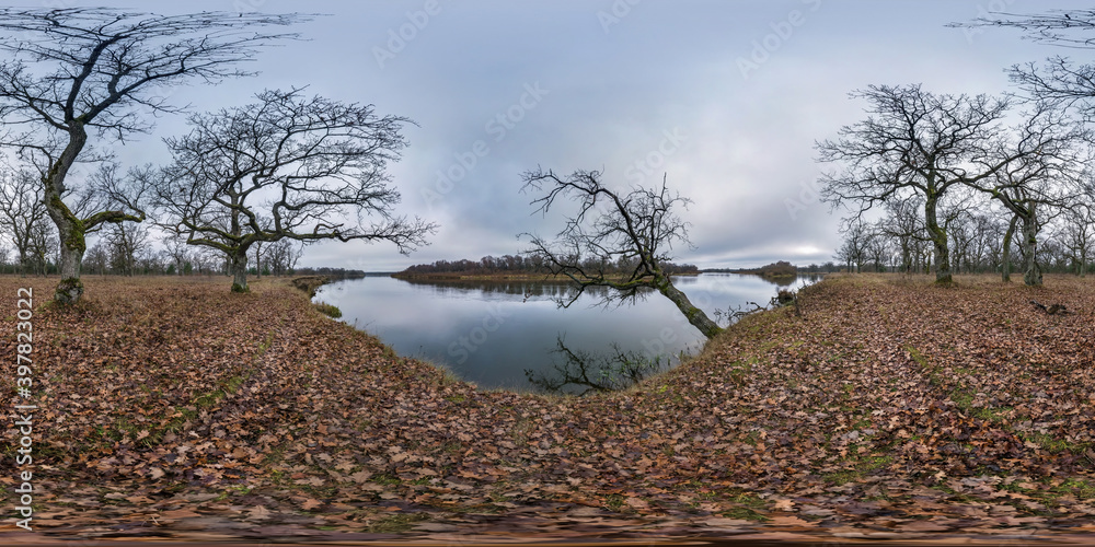 full seamless spherical hdri panorama 360 degrees angle view among oak ...