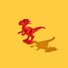 Golden Evolution Free Stock Photo - Public Domain Pictures