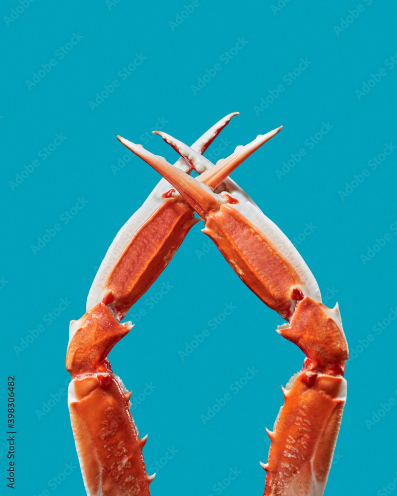Crossed big claws of natural crab. Stock Photo | Adobe Stock