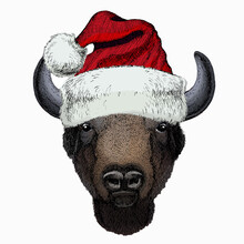 Christmas Bison Buffalo Art Free Stock Photo - Public Domain Pictures