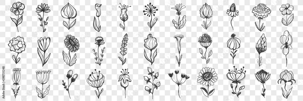 Flowers doodle set. Collection of hand drawn beautiful flowers with ...