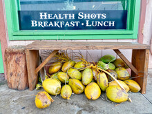 Raw Coconut On A Bench Free Stock Photo - Public Domain Pictures