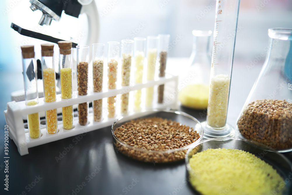Research Analyzing Agricultural Grains And seeds In The Laboratory ...
