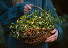 Girl With A Mistletoe Christmas Free Stock Photo - Public Domain Pictures