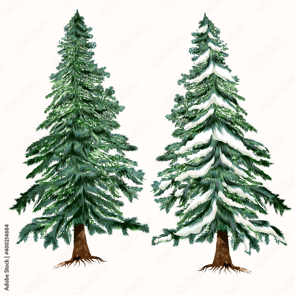 Set of vector Christmas trees, green fur trees in hand drawn watercolor ...