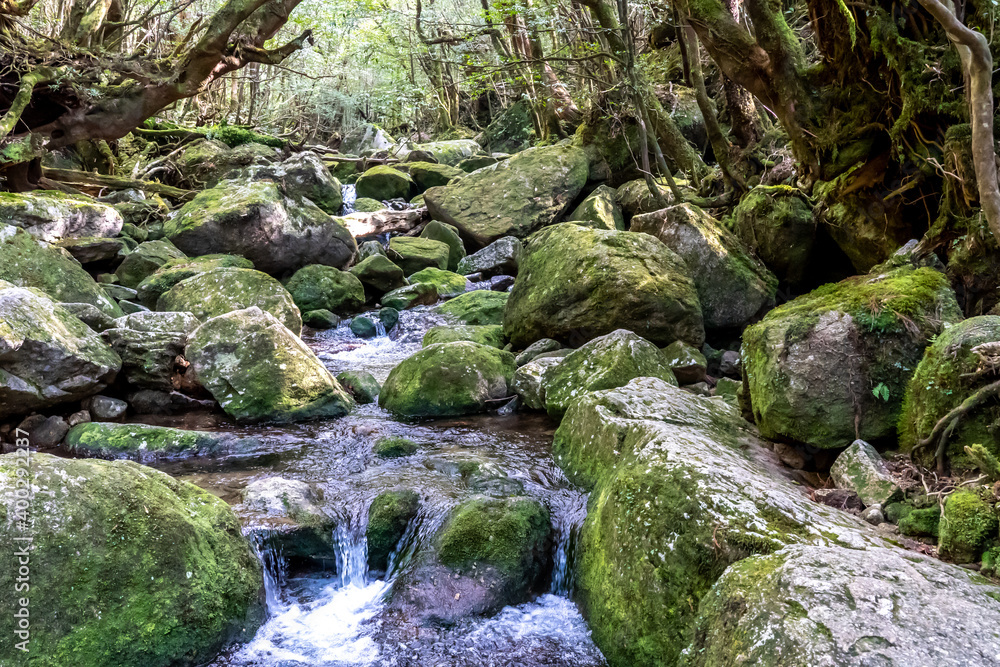 Photo Stock The Shiratani Unsuikyo Ravine in spring, Shiratani Unsuikyo ...