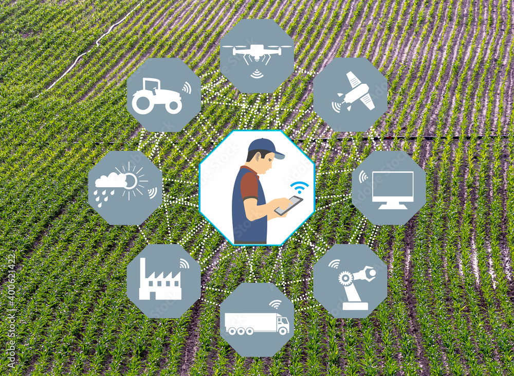 Smart Agriculture concept. Grain production with modern farming ...