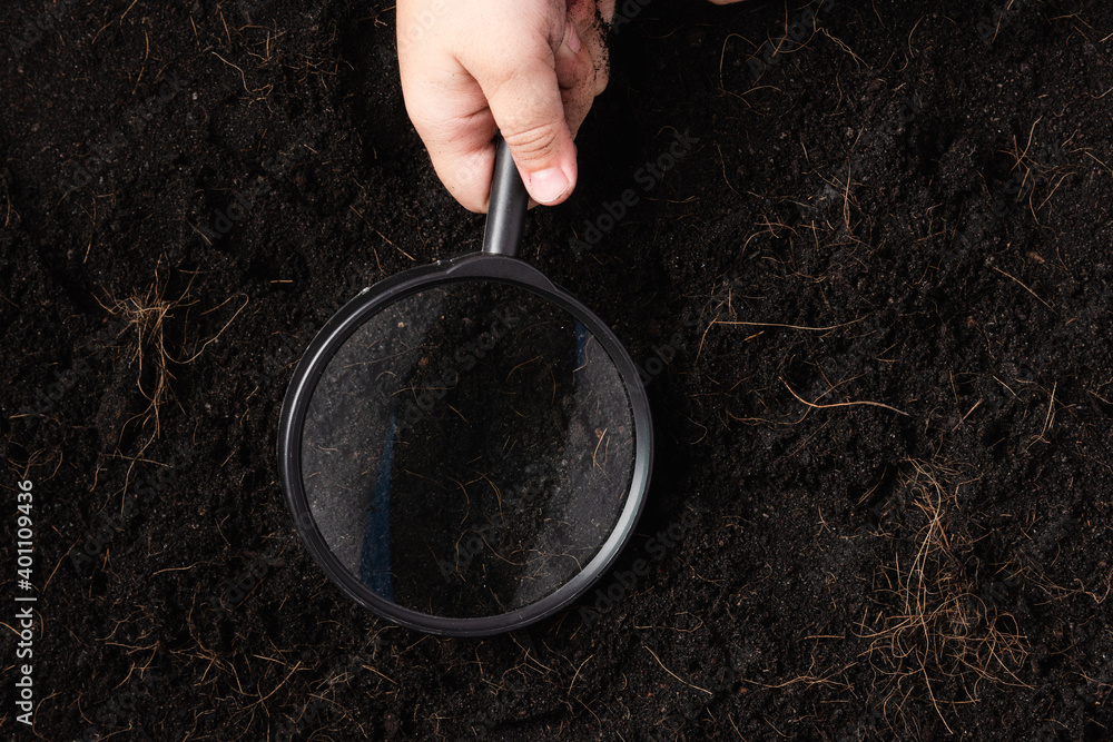 Top view of child hand hold magnifying glass for check black soil at ...