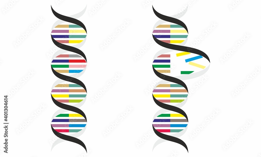 Regular DNA sequence and DNA mutation. DNA spiral diagram. Medical ...