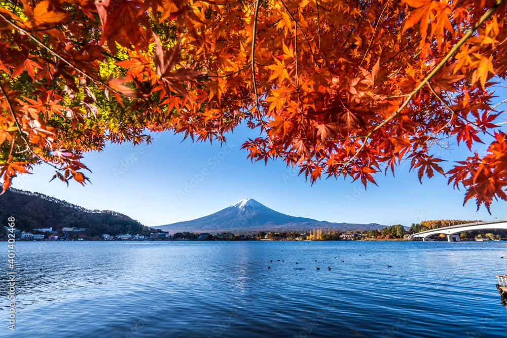 Colorful Autumn in Mount Fuji, Japan - Lake Kawaguchiko is one of the ...