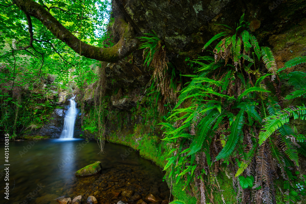 Stock-Foto „Ferns, Lamiña waterfall, Lamiña, Saja Besaya Natural Park ...