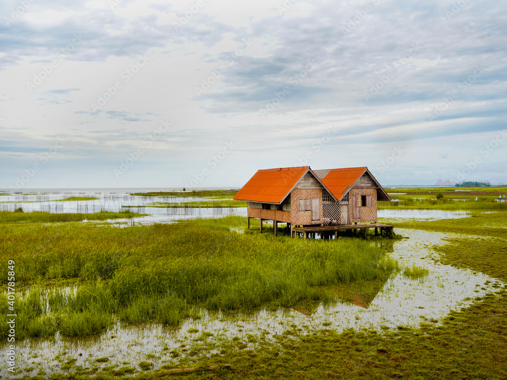 Houses in different styles among different nature But it is a happy and ...