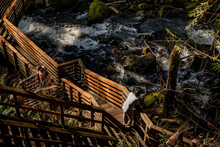 Piers Of Bridge Over Stream Free Stock Photo - Public Domain Pictures