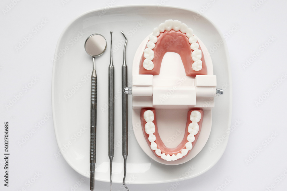 Dental model of human teeth. Medical banner. White smile, whitening ...