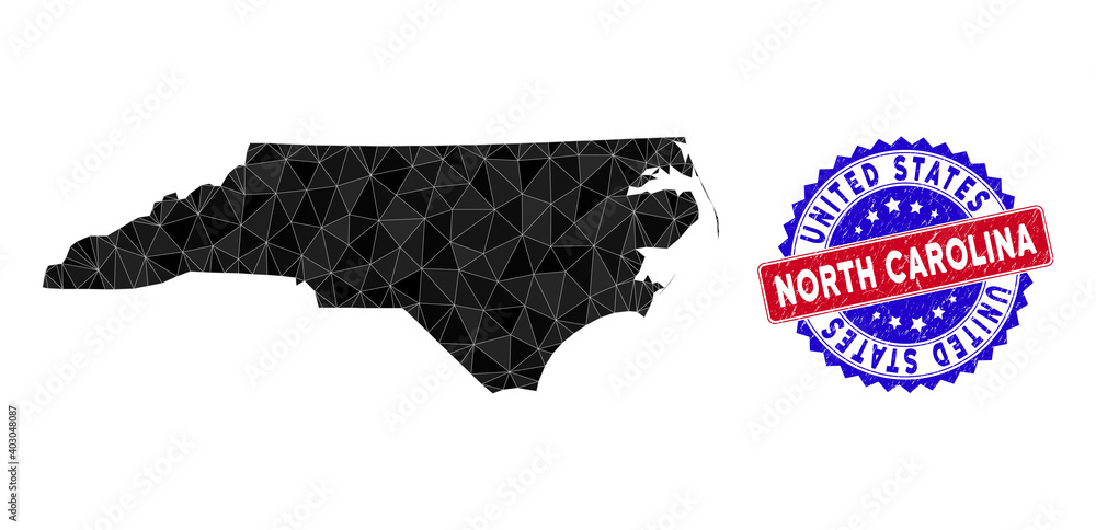 North Carolina State map polygonal mesh with filled triangles, and ...