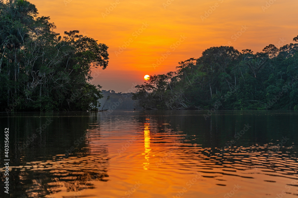 Foto de Stock Sunset reflection in the Amazon Rainforest. The Amazon ...