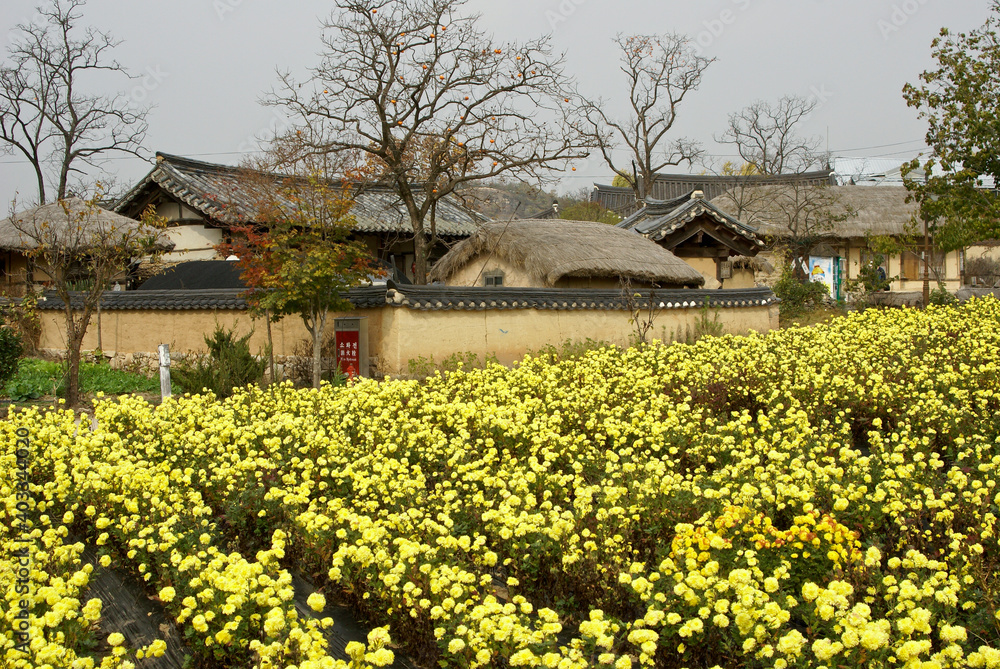 Foto de Stock In South Korea, Hahoe has been designated a traditional ...