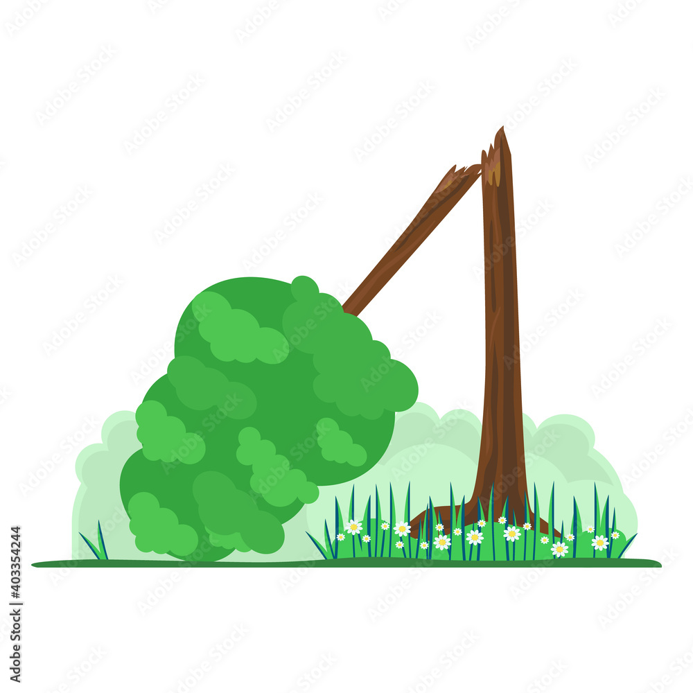 Broken tree. The concept of damage or destruction of nature and the ...