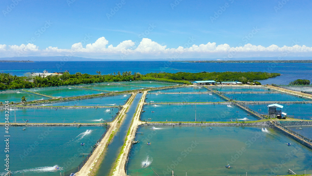 Foto de Stock Aerial view of the prawn farm with aerator pump. Bohol ...