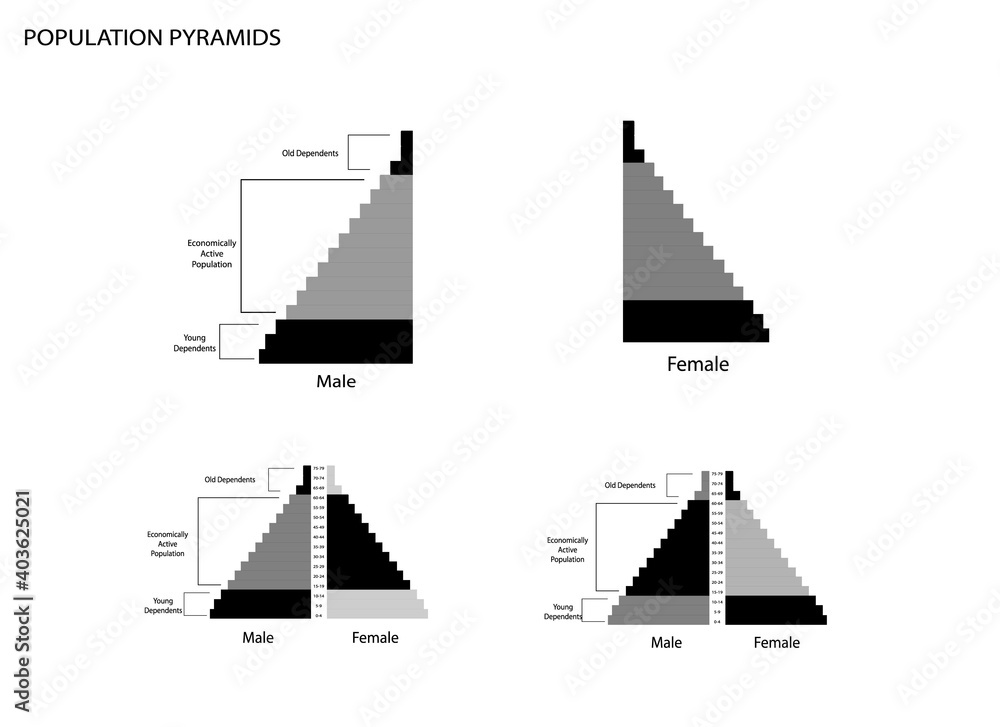 Population and Demography, Population Pyramids Chart or Age Structure ...