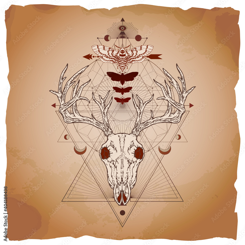 Vector illustration with hand drawn deer skull, dead head moth and ...