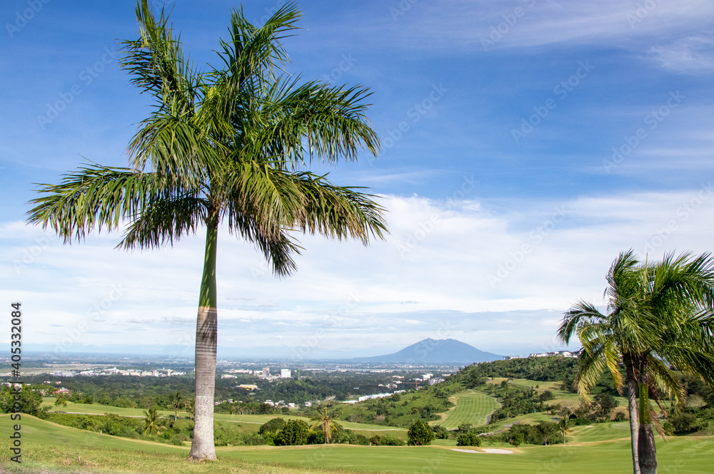 Hilltop with Palm Tree Overlooking Clark, Mt. Arayat, and Pampanga on ...