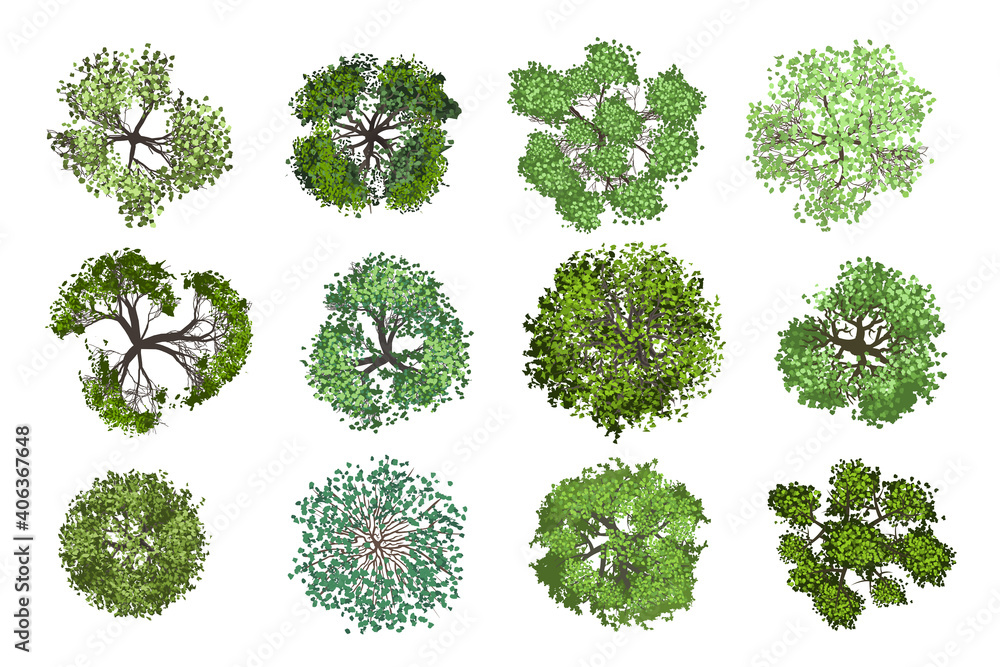 Vector collection. Realistic trees. Top view. Different plants and ...