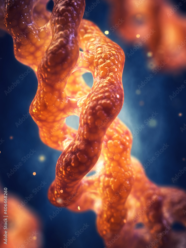 Collagen triple helix molecule. Collagen is the main component of ...
