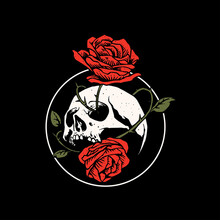 Dead Roses Free Stock Photo - Public Domain Pictures