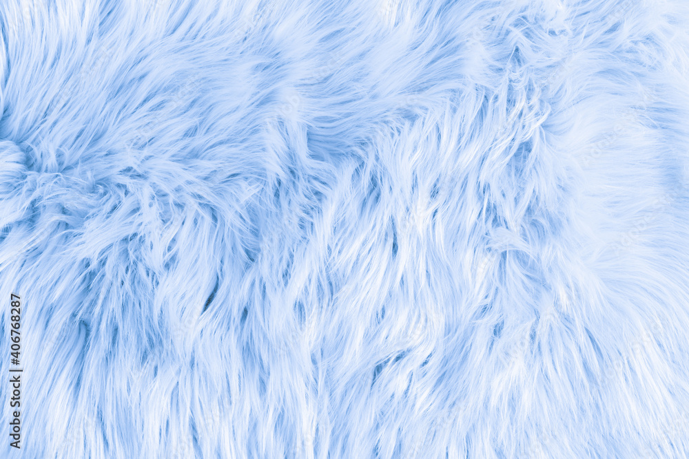 Light blue long fiber soft fur. Blue fur for background or texture. Fuzzy blue fur plaid. Shaggy ...