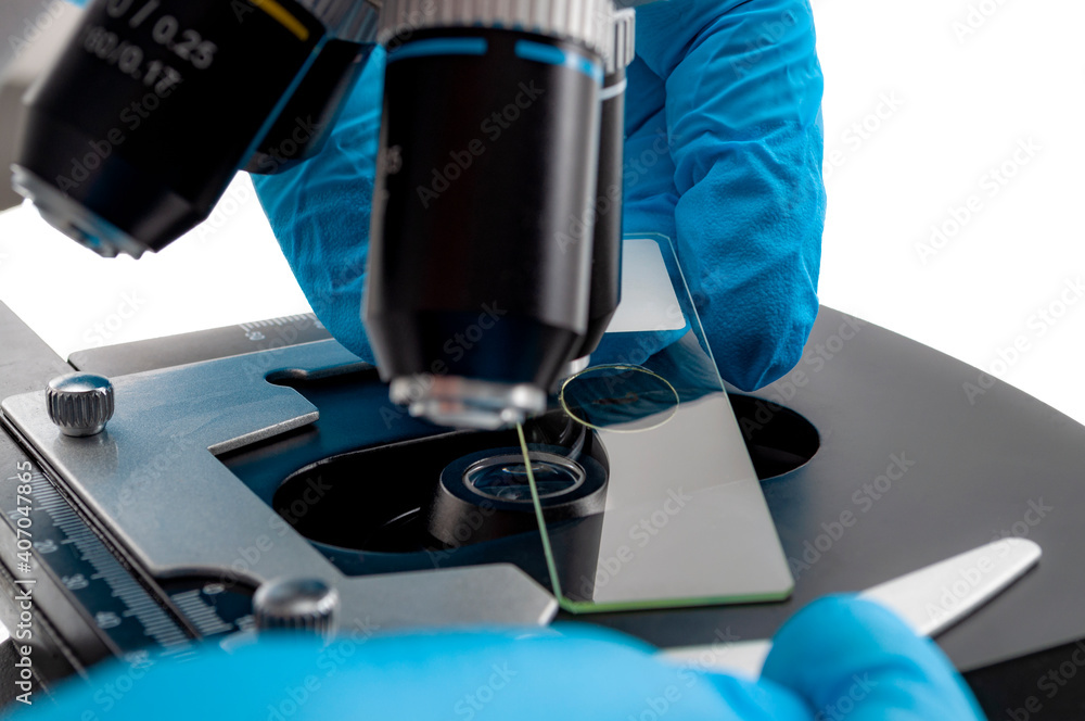 Scientific analysis, lab testing and biological science research ...