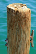 Wood Ocean Piling Free Stock Photo - Public Domain Pictures