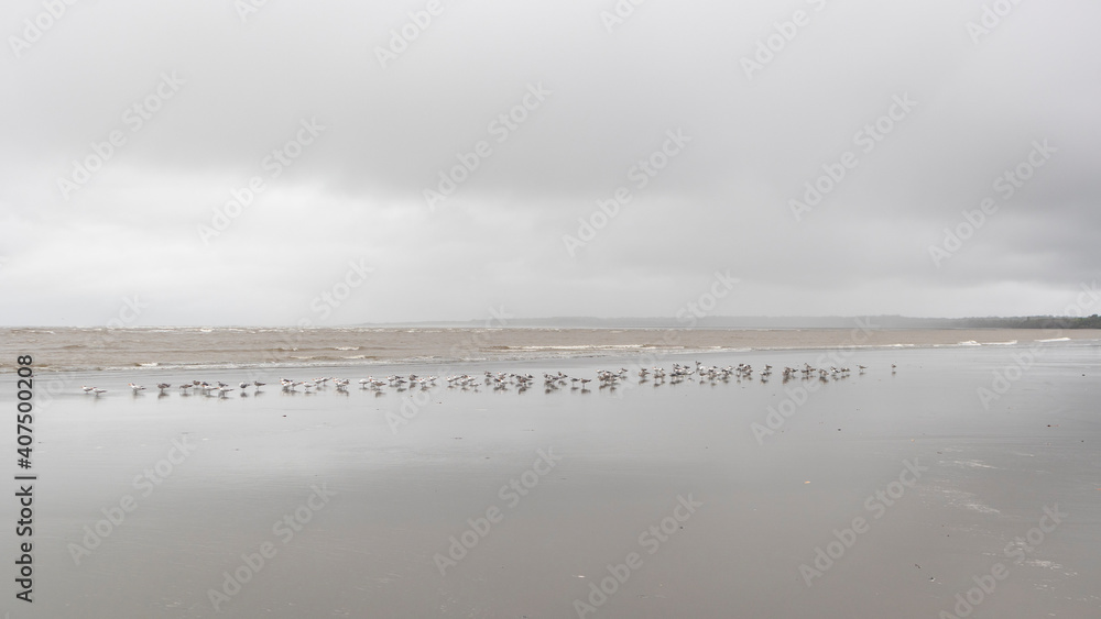 Image of a beach in Juanchaco, Buenaventura, Valle del Cauca, Colombia ...