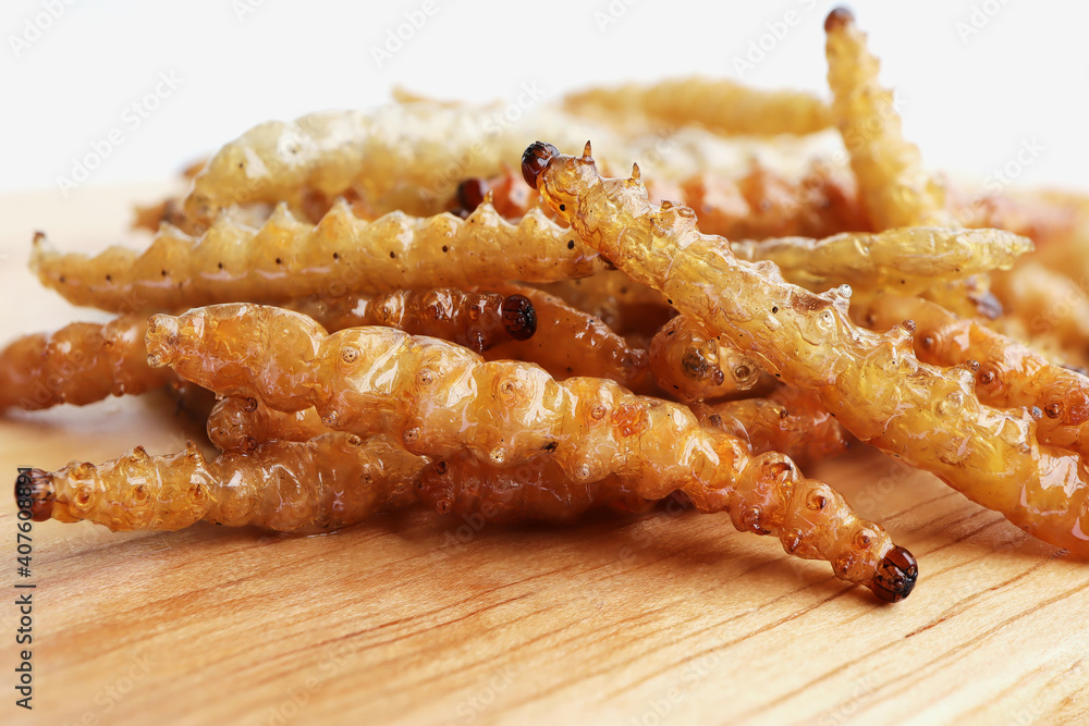 Crispy deep fried bamboo worm, fried insects are a high protein foods ...