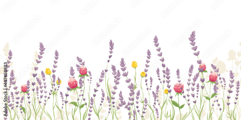 Lavender and summer flowers. Vector illustration, narrow banner with ...