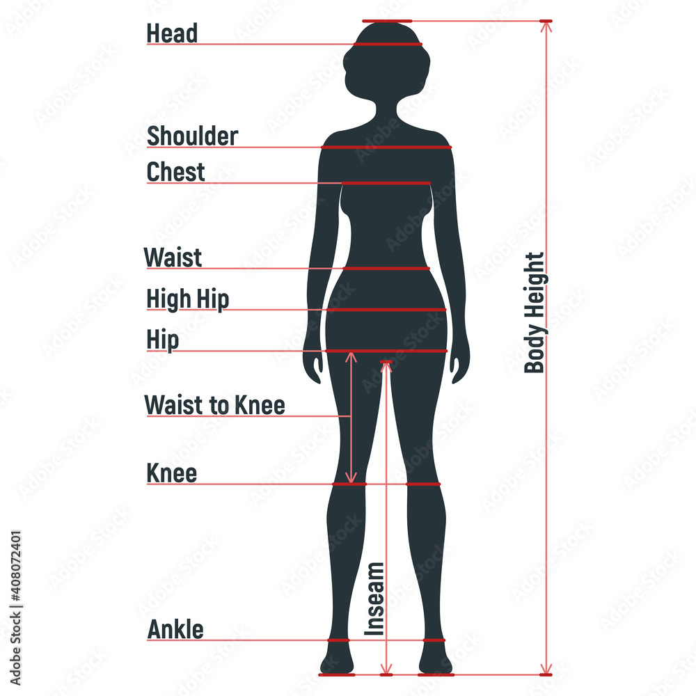 Female size chart anatomy human character, people dummy front and view ...